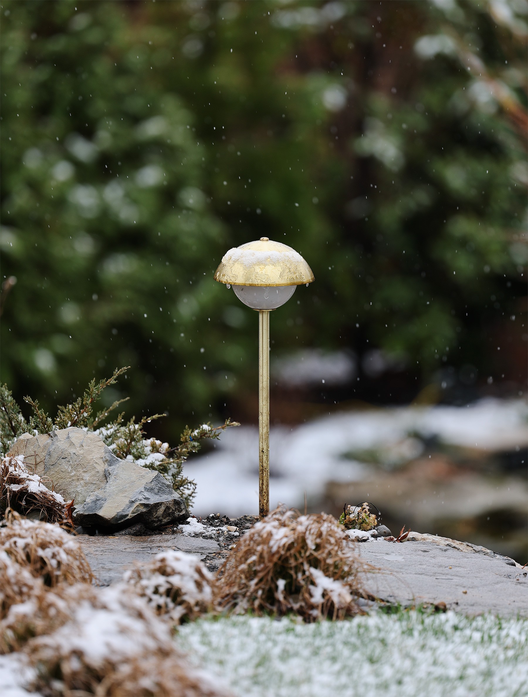 Dome Path Light